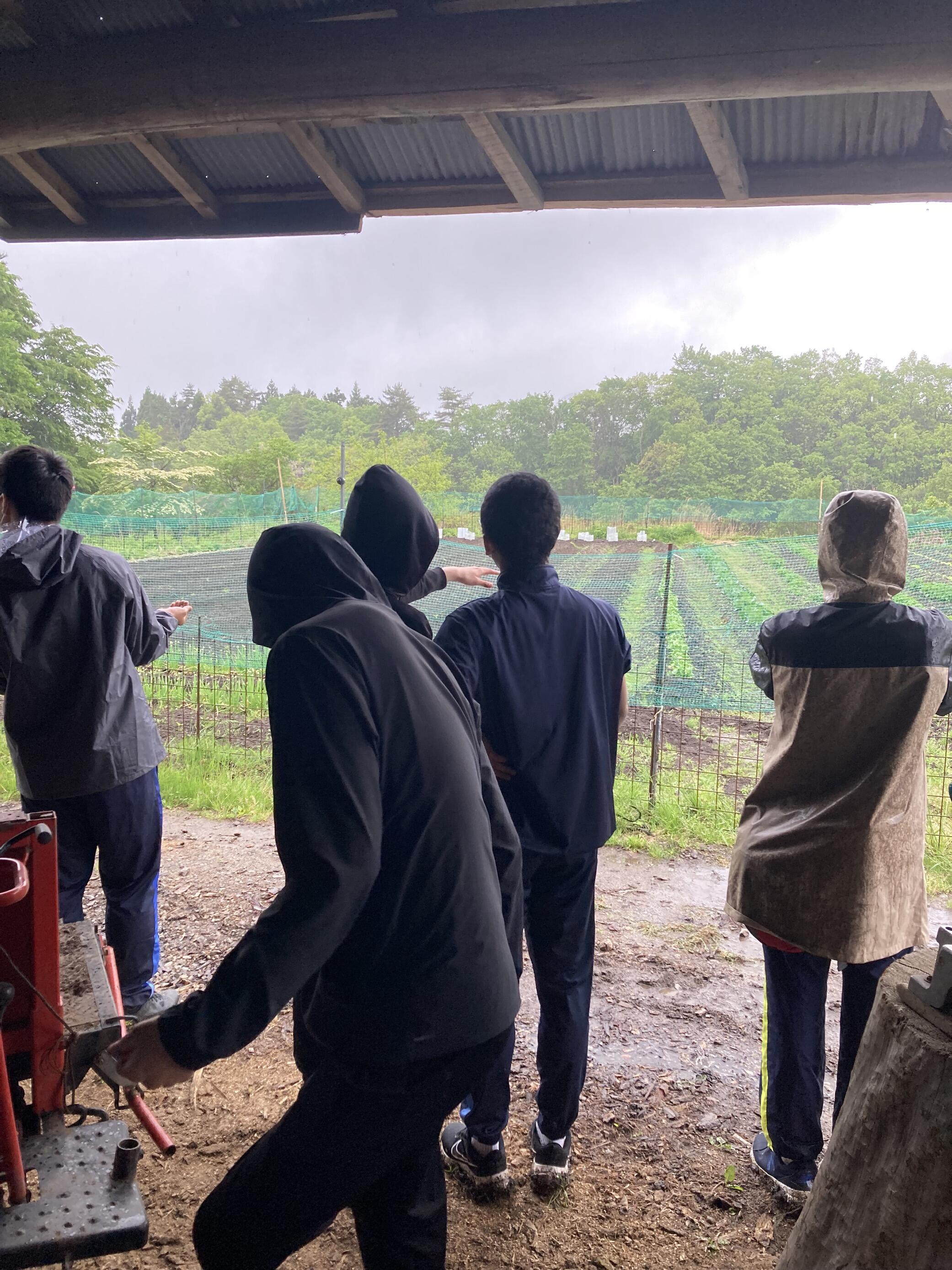 京都府立宮津天橋高等学校 | 部活動 : フィールド探究部(宮津)