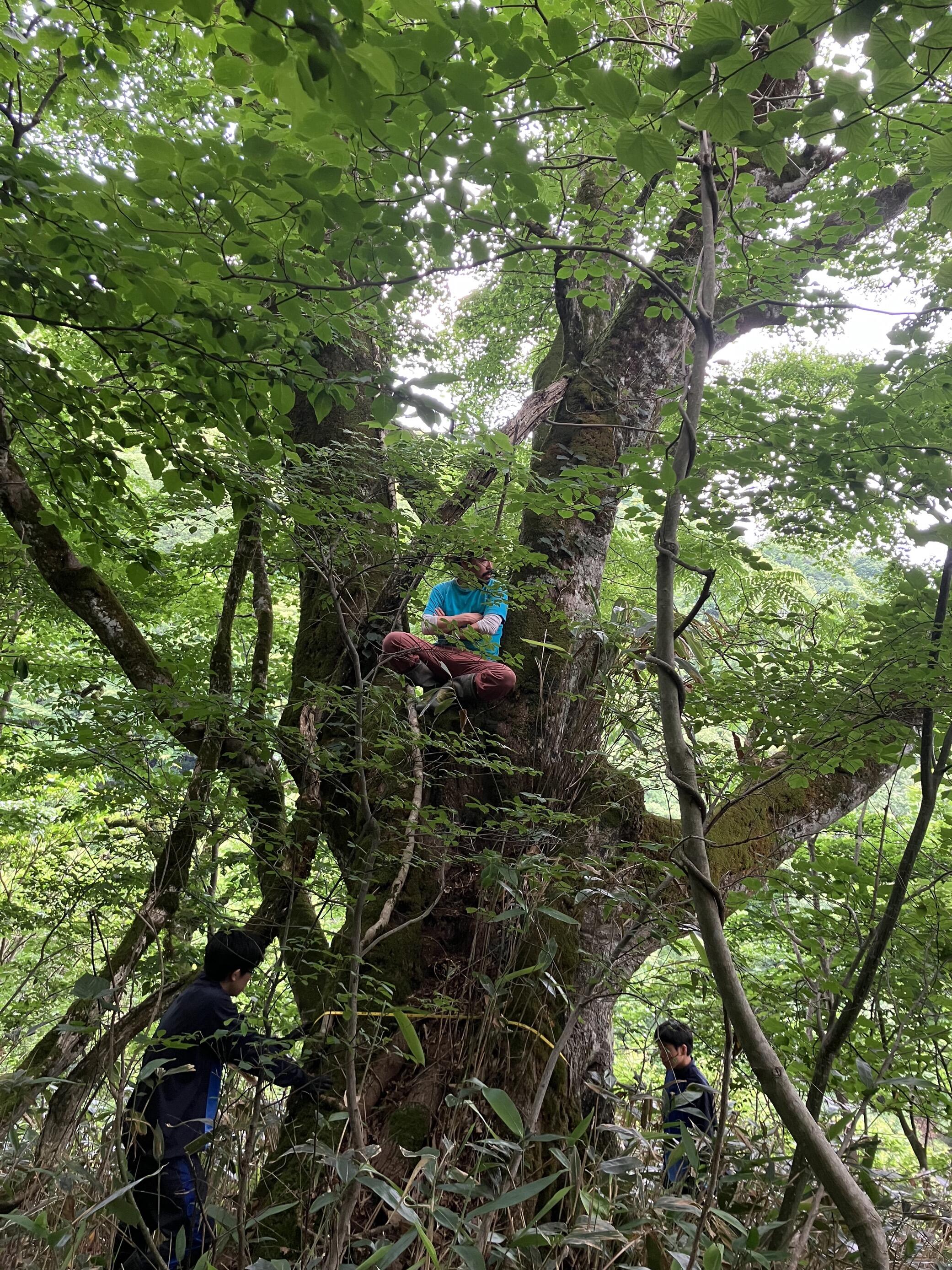 京都府立宮津天橋高等学校 | 部活動 : フィールド探究部(宮津)
