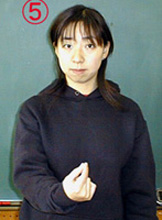 Sign Language on the Internet