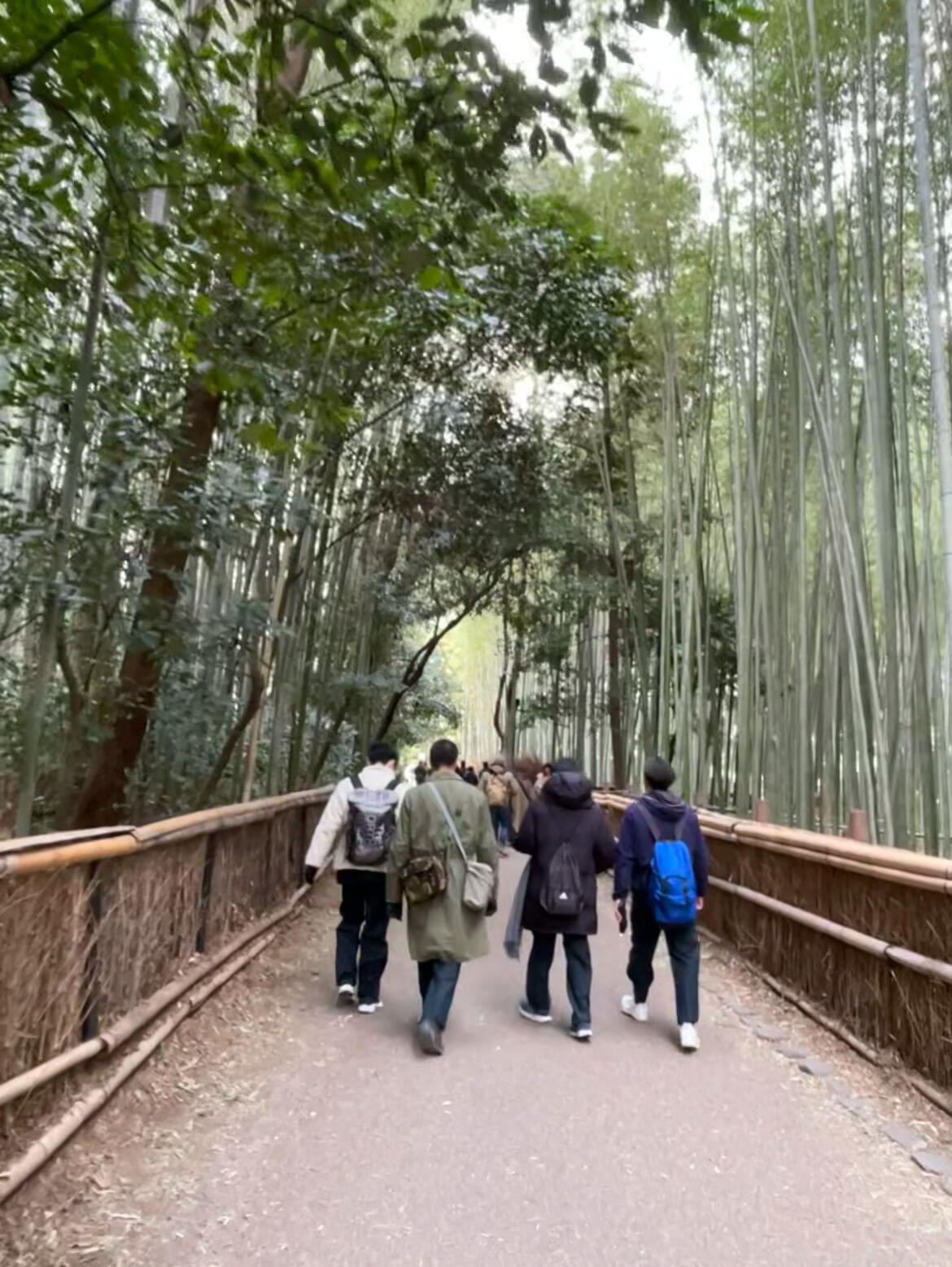 京都府立嵯峨野高等学校 1年生 野外活動 - SAGANO BLOG