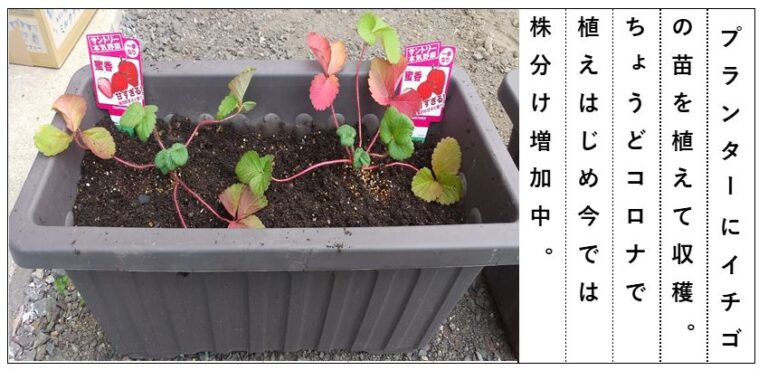 PTA 家族ふれあい発見 | 綾部市立東綾小学校・東綾中学校