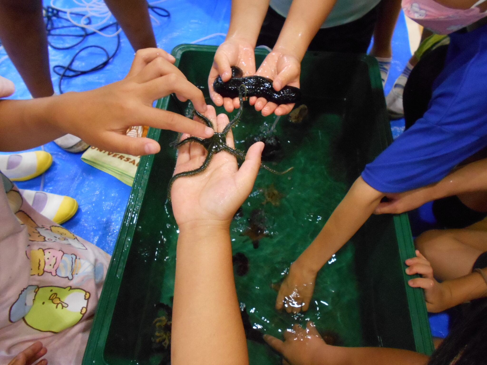 2年学年PTA『みんなで道徳』「生き物と触れ合おう～身近な環境問題について考えよう～」 | 南丹市立八木東小学校